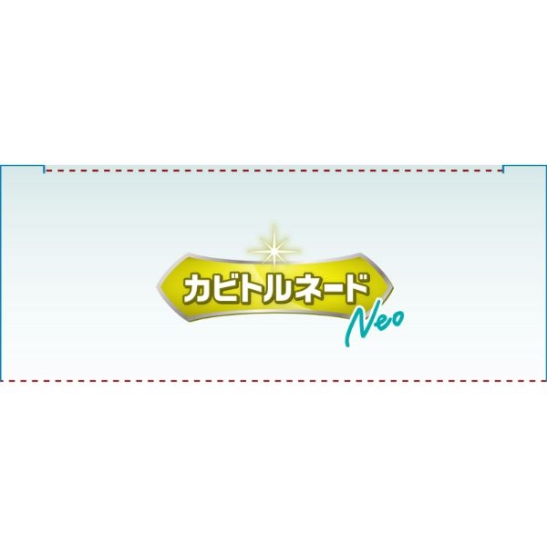 カビトルネード Neo 洗濯槽クリーナー ドラム式用 216g カビトルネード リベルタ | イオンスタイルオンライン 衣料品・暮らしの品をネットでお買物